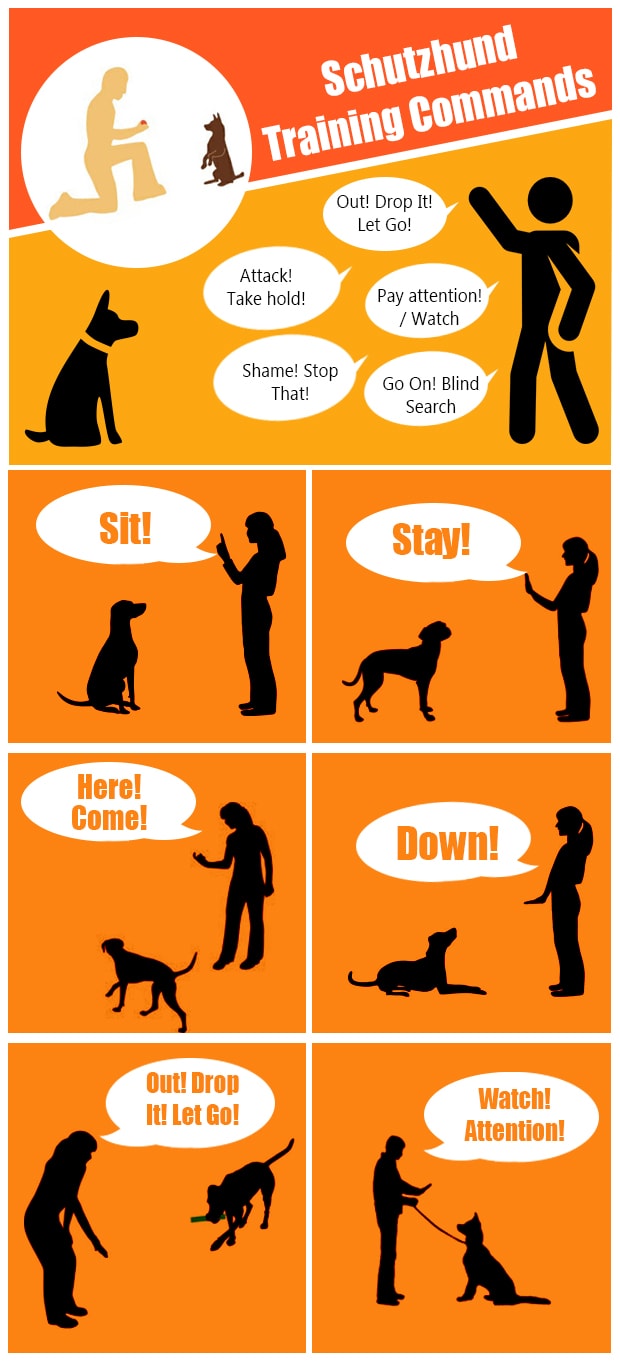 What Are German Commands For Dogs